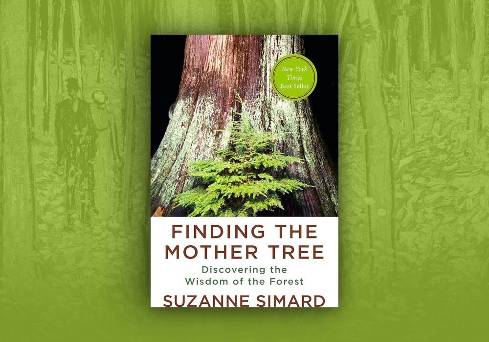 Secrets of the Forest and a Life - Books & ideas