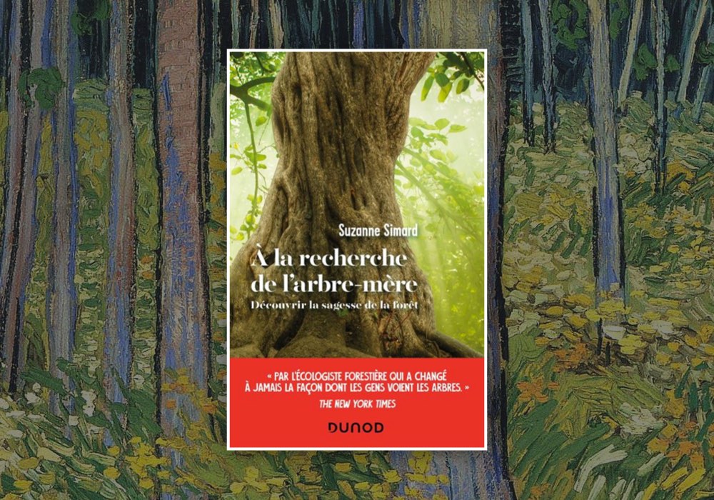 Les secrets de la sylve et d’une vie - La Vie des idées