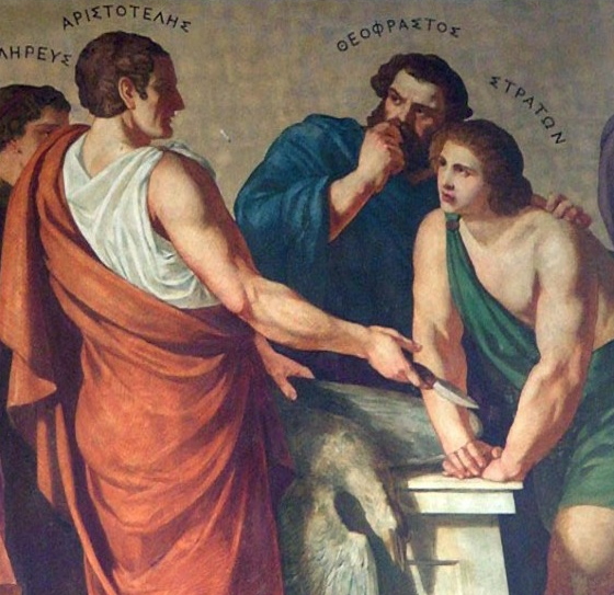 The Moral Animal - Books & ideas