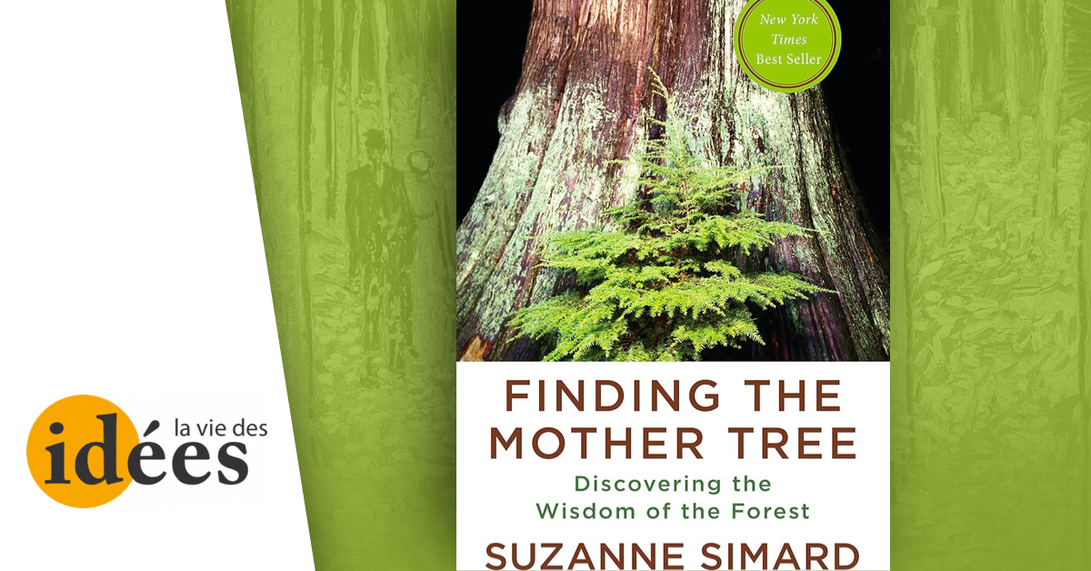 Secrets of the Forest and a Life - Books & ideas
