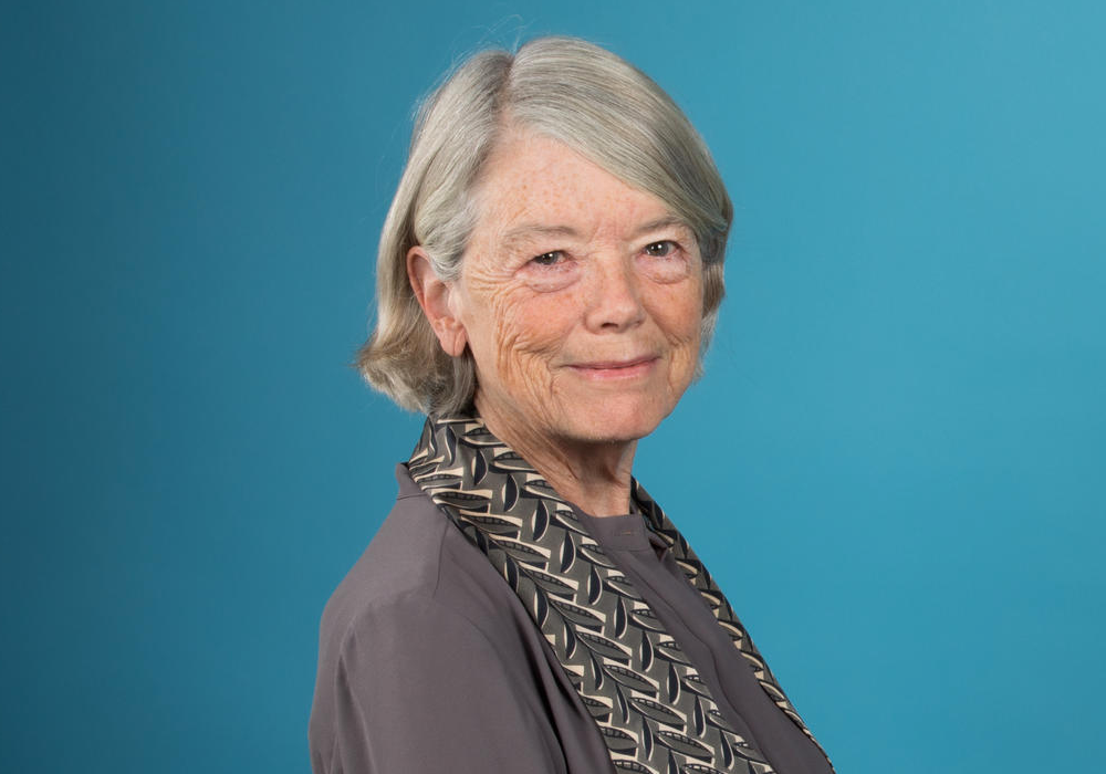 Jane Mansbridge, Political Science between Facts and Norms - Books & ideas